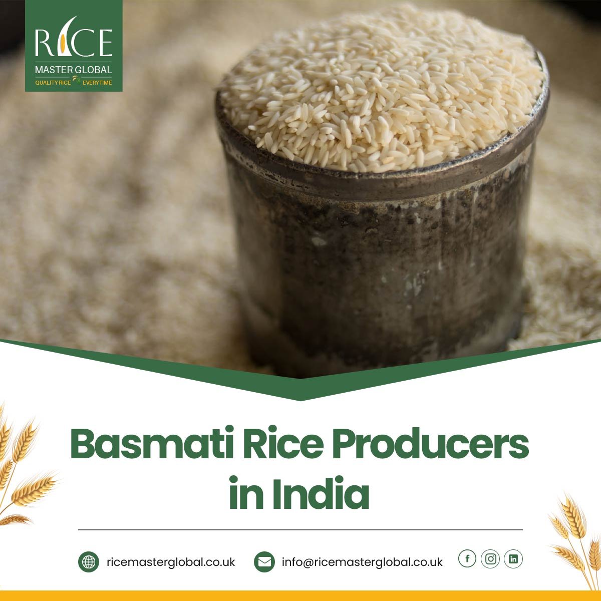 Gallery | Rice Master Global