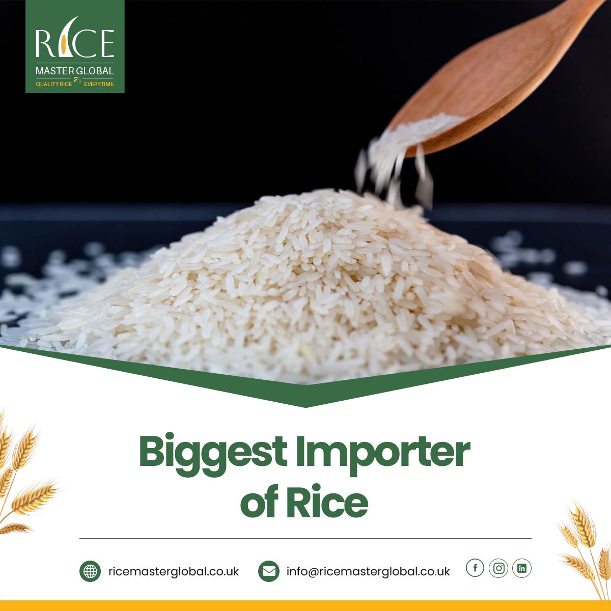 Gallery | Rice Master Global