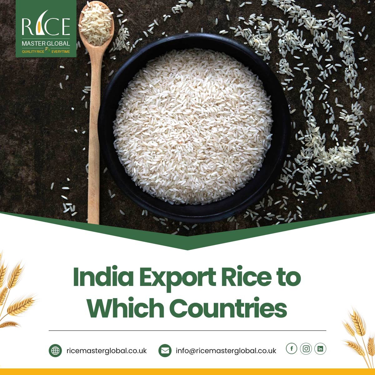 Gallery | Rice Master Global